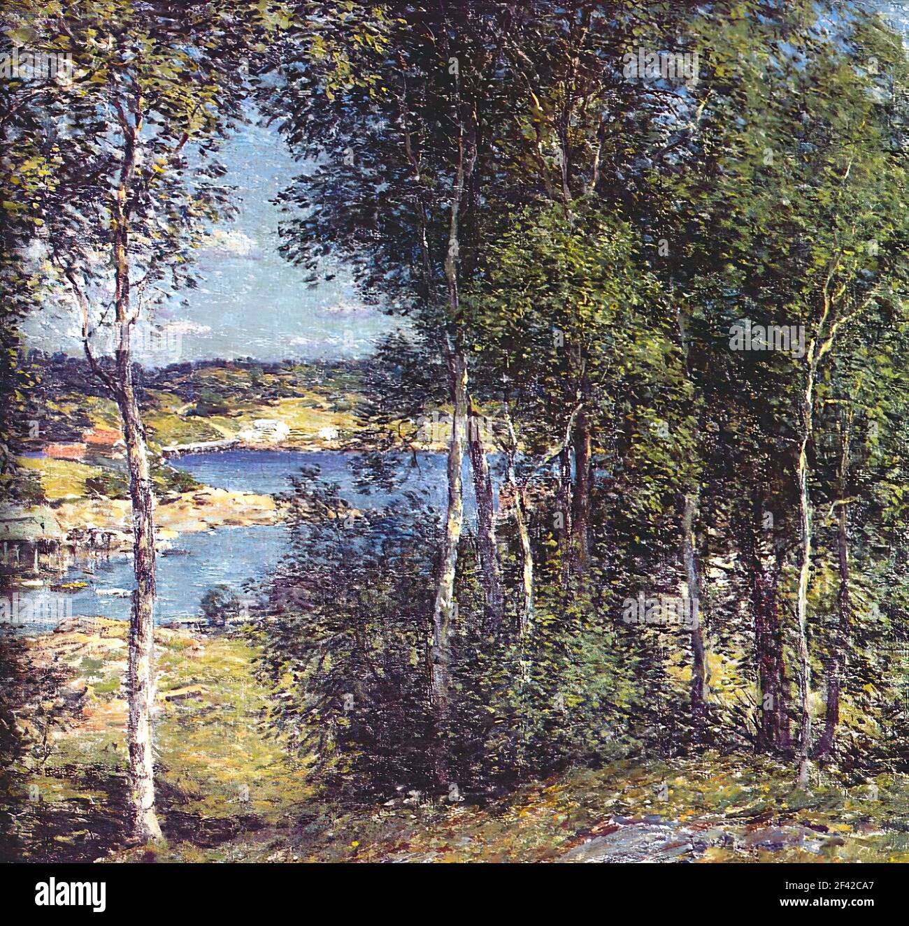 Family birches hi-res stock photography and images - Alamy