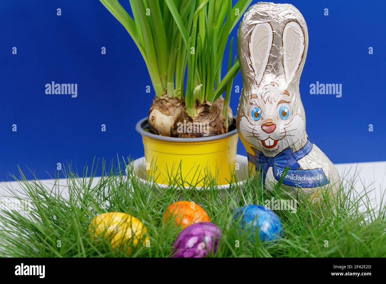 Easter bunny with colorful eggs and daffodils Stock Photo - Alamy