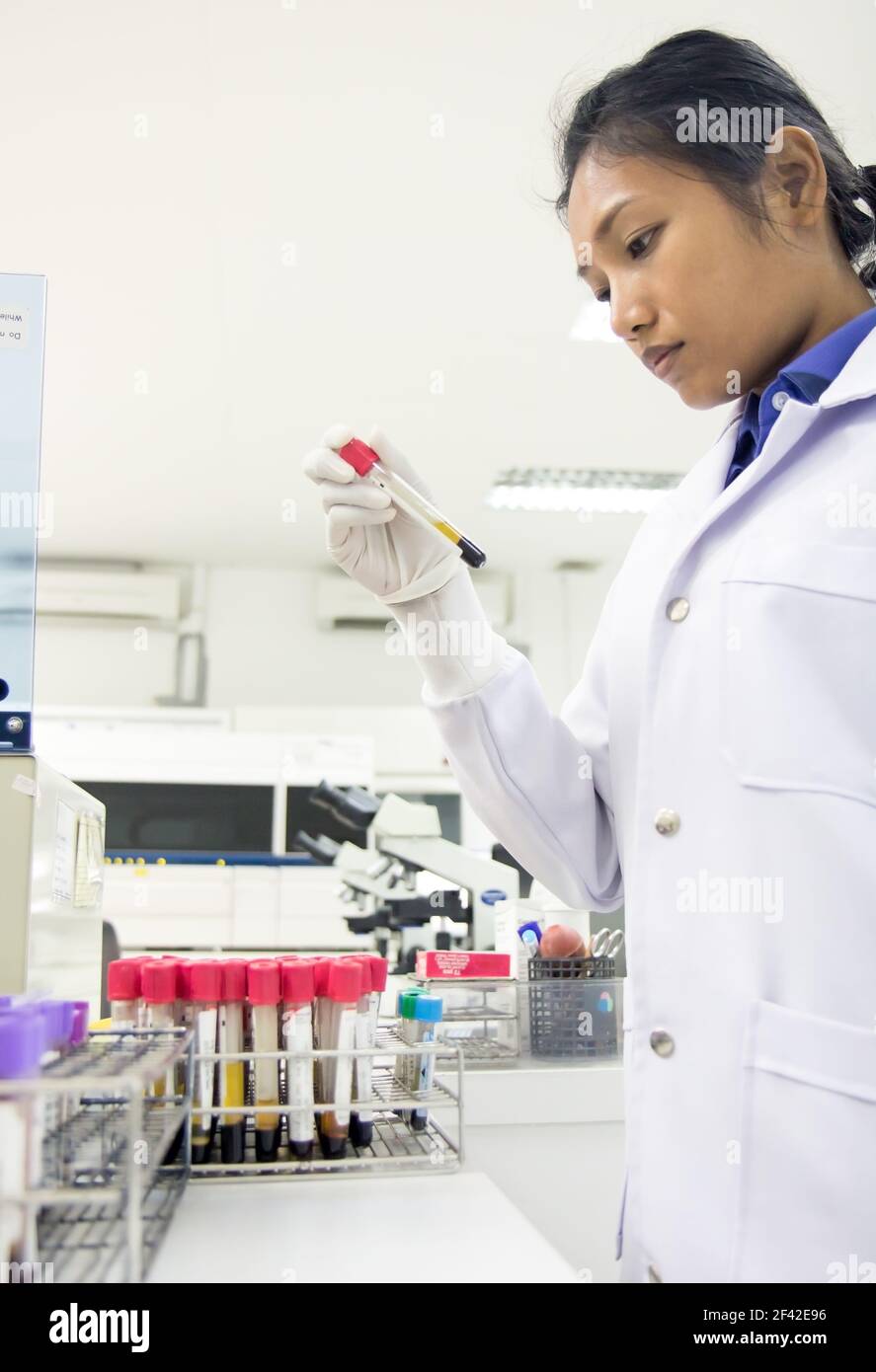 Doctor in lab examines the blood sample in a tube Stock Photo - Alamy