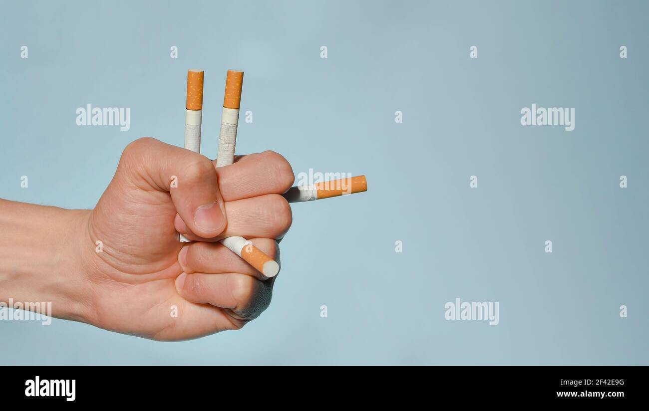Hand holding many cigarettes and blue background. Stop smoking, World ...