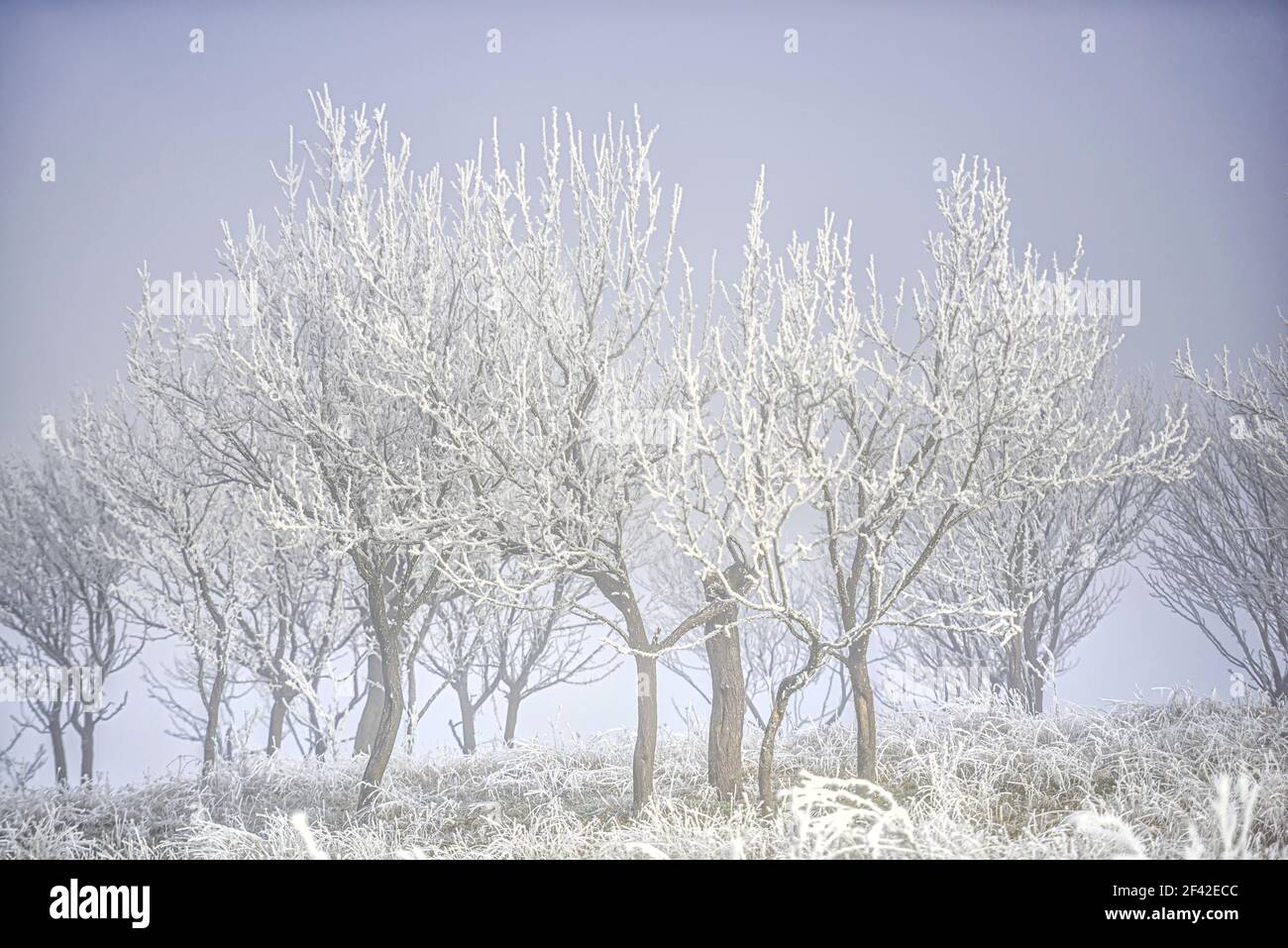 Winter wonderland landscape Stock Photo - Alamy