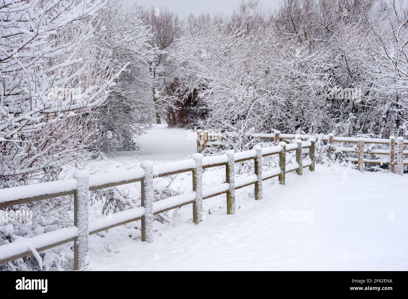 Winter scene with wooden fence, path and snow covered trees Stock Photo ...