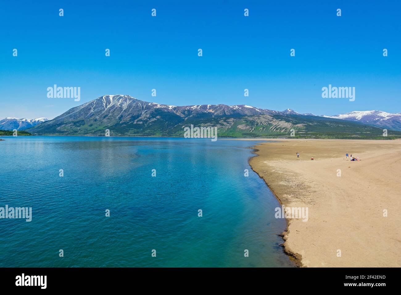 Canada, Yukon, Carcross, Bennett Lake, beach Stock Photo - Alamy