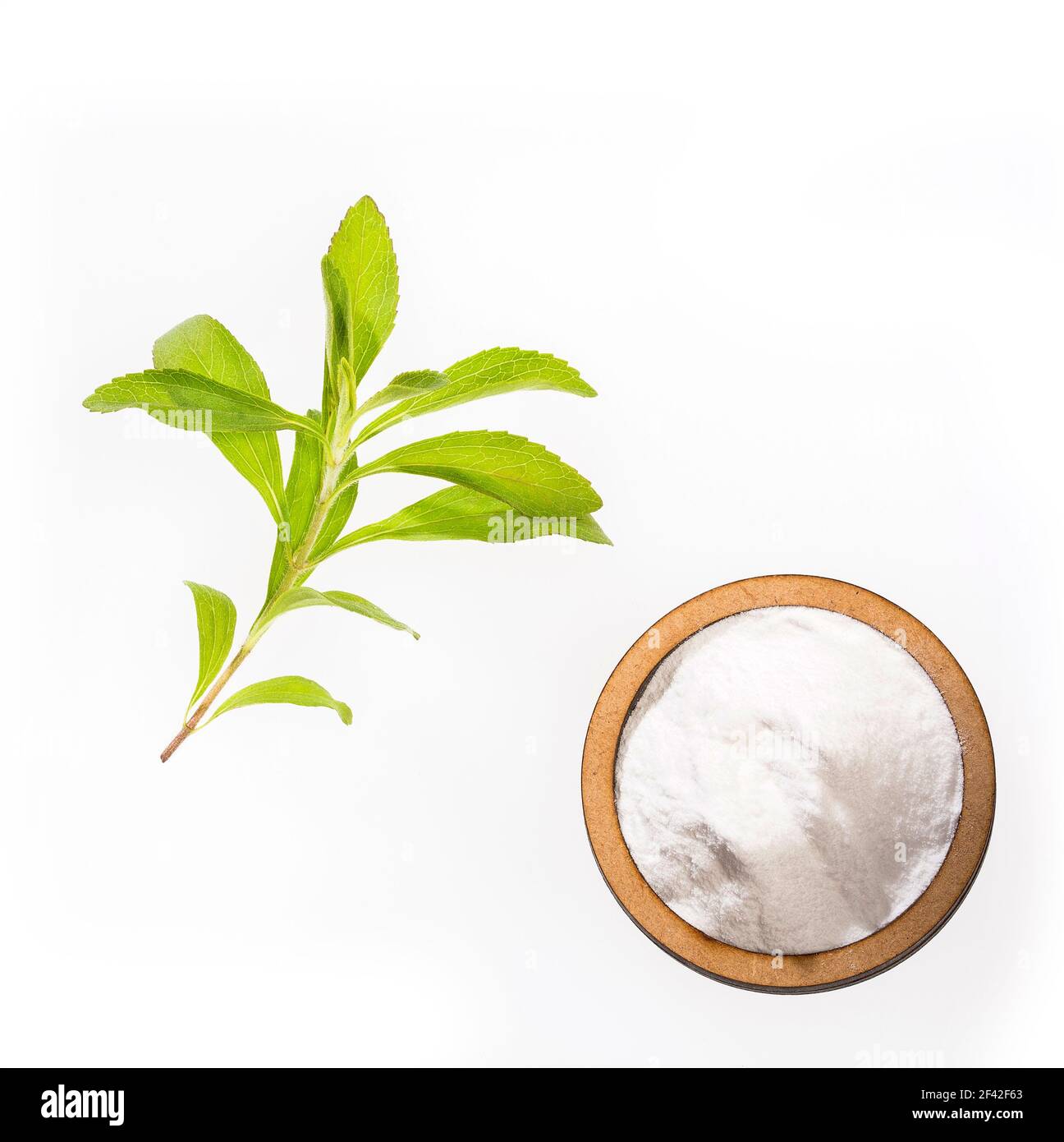 Natural sweetener in powder from stevia plant - Stevia rebaudiana Stock ...
