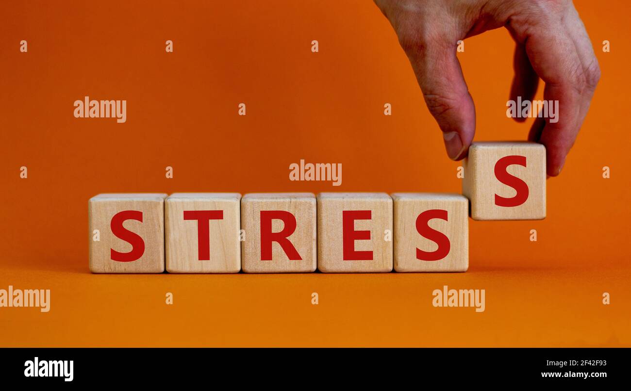 Stop stress and be health symbol. Doctor holds cubes with the word ...