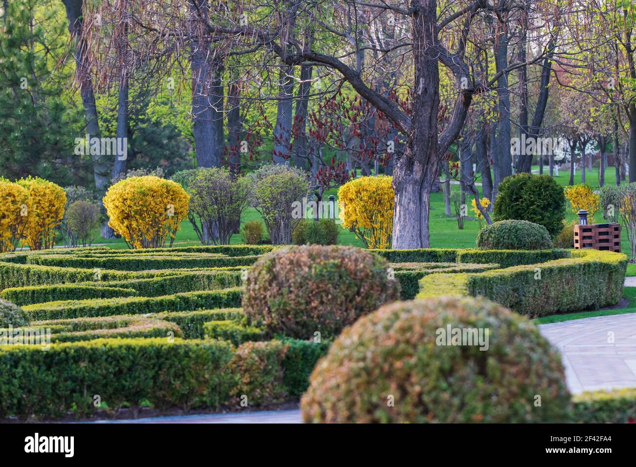beautiful bushes and lawn in the spring park Stock Photo - Alamy