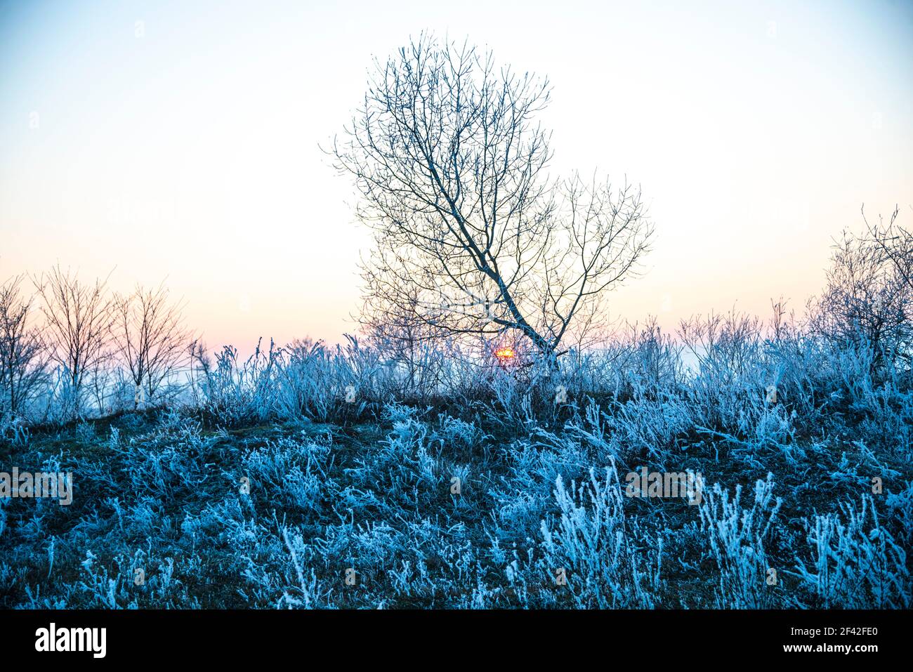 Winter wonderland landscape Stock Photo - Alamy