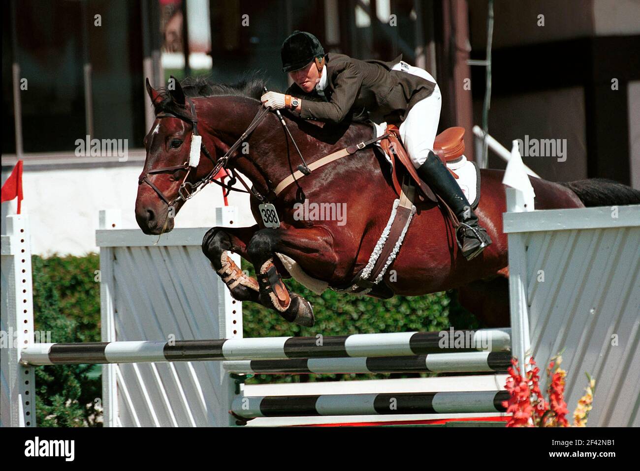 The National, Spruce Meadows, June 2001, Carla Diewert (CAN) riding ...