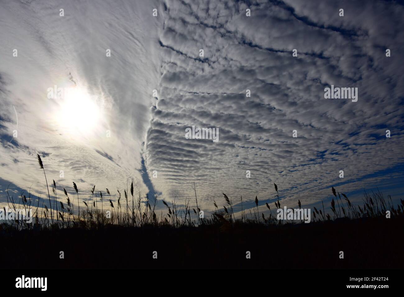 Cirrus Cloud Patterns Stock Photo - Alamy
