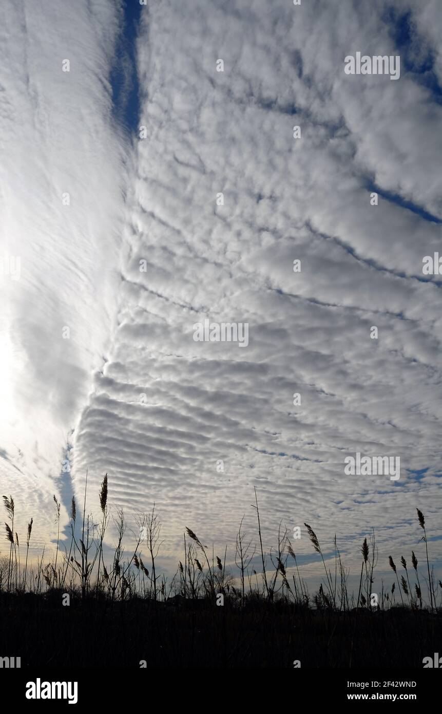 Cirrus Cloud Patterns Stock Photo - Alamy