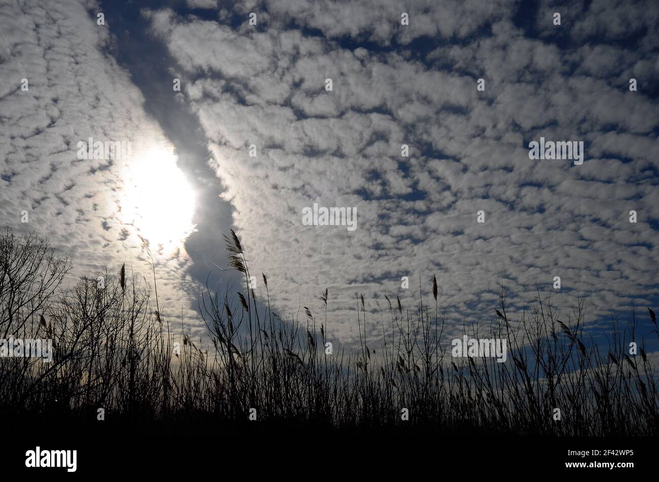 Cirrus Cloud Patterns Stock Photo - Alamy