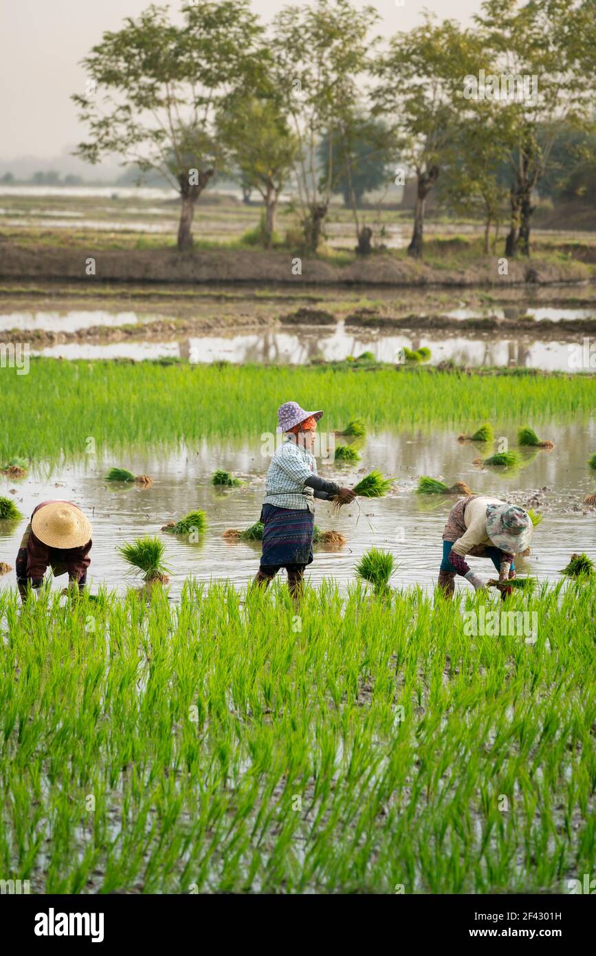 Three farmers hi-res stock photography and images - Alamy