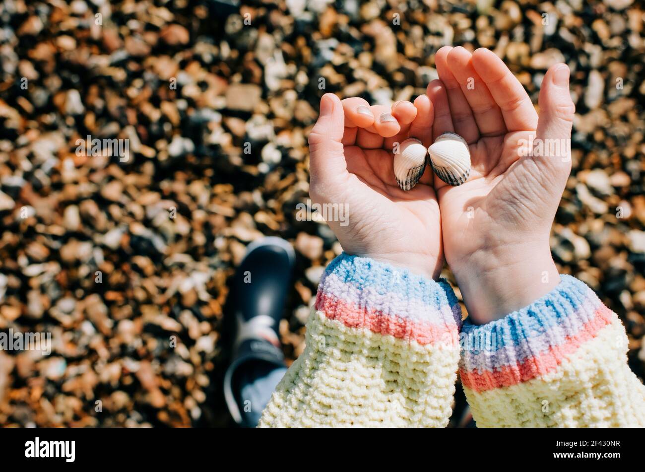 Girl holding shells hi-res stock photography and images - Alamy
