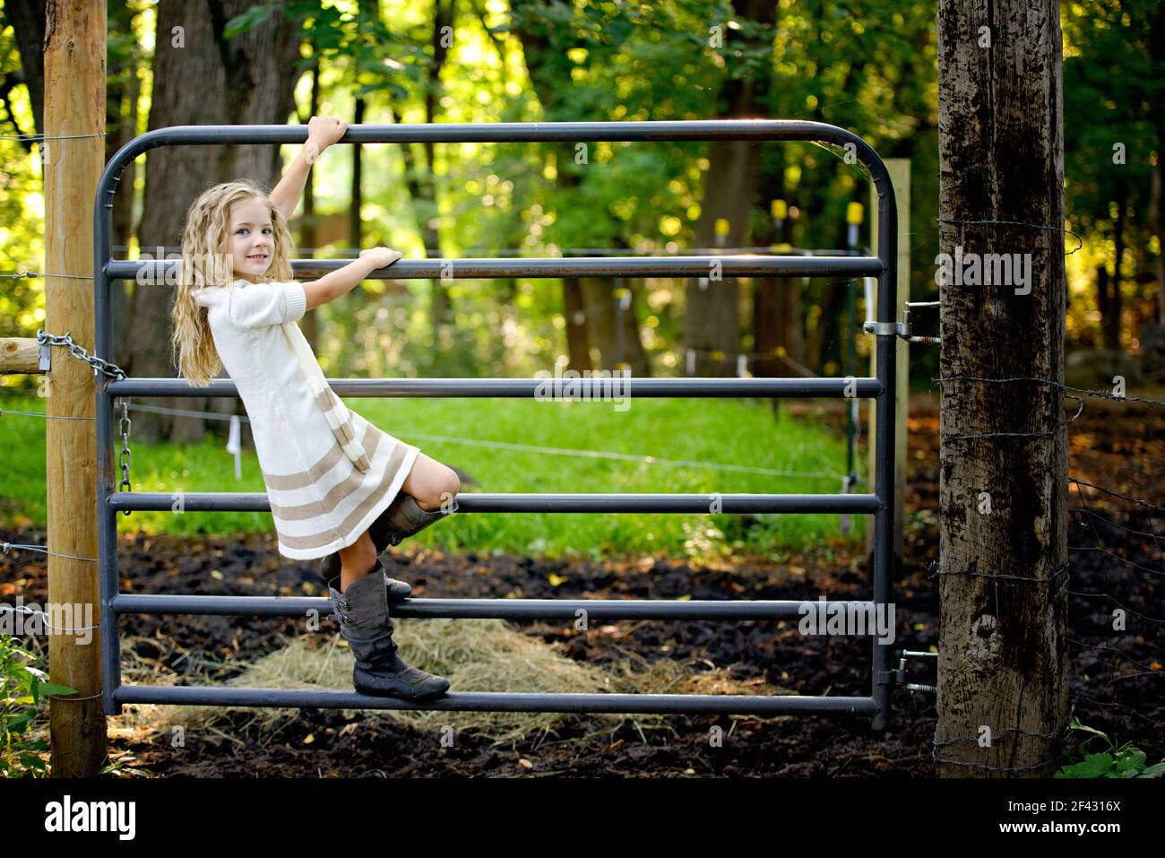 Little blond girl climbing a gate on the farm Stock Photo - Alamy