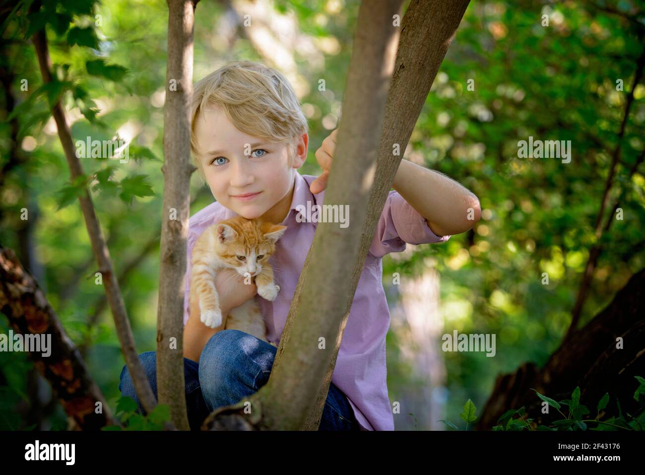 Little blond boy in a tree with a kitten in the country Stock Photo - Alamy