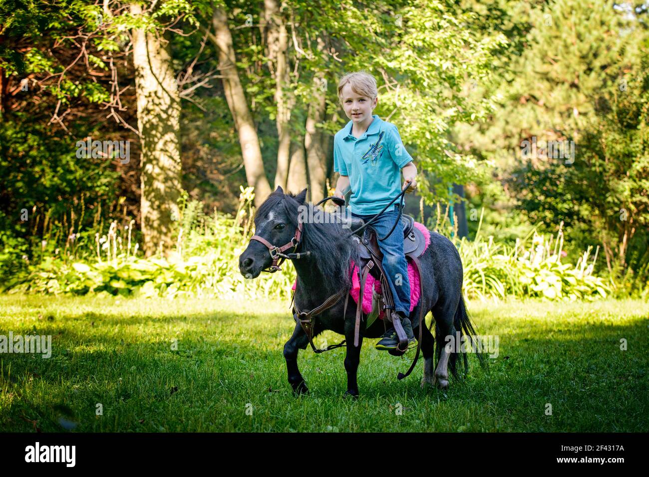 Little blond riding his little black pony in the country Stock Photo ...