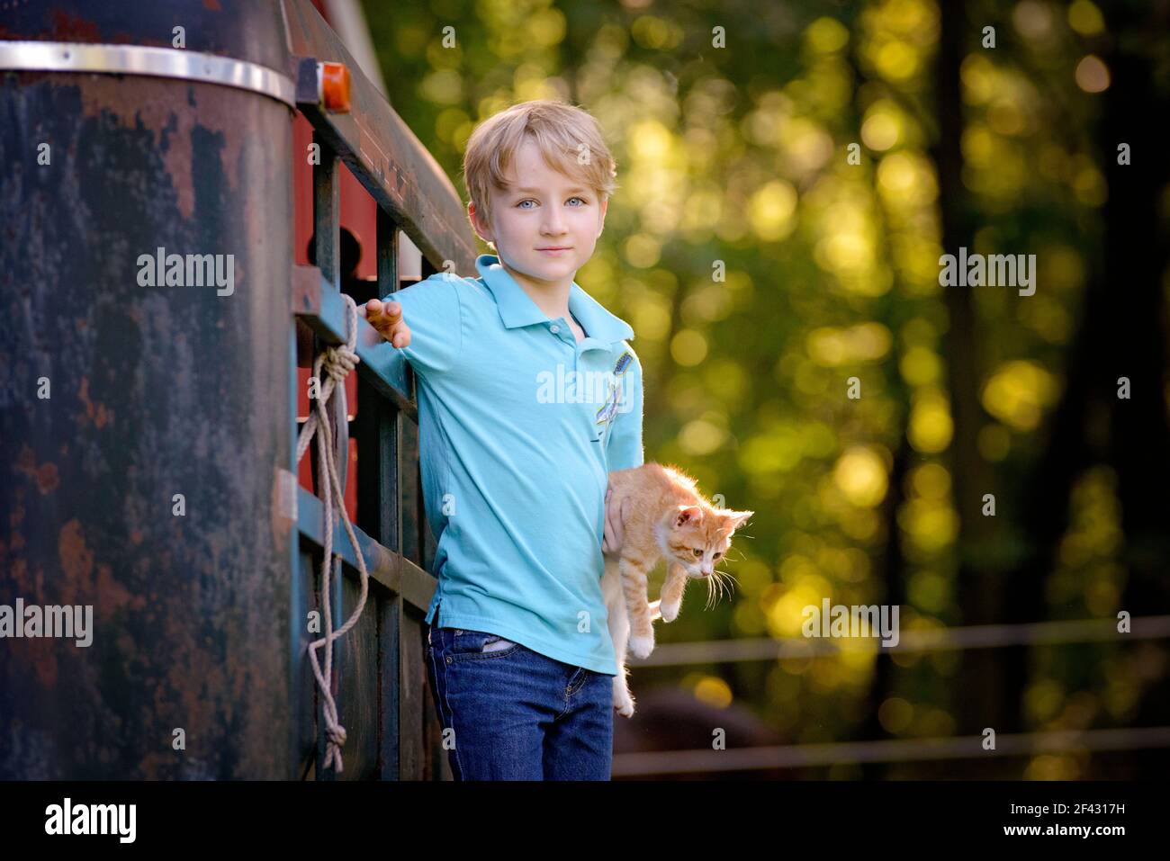 Child boy holding cat kitten hi-res stock photography and images - Alamy