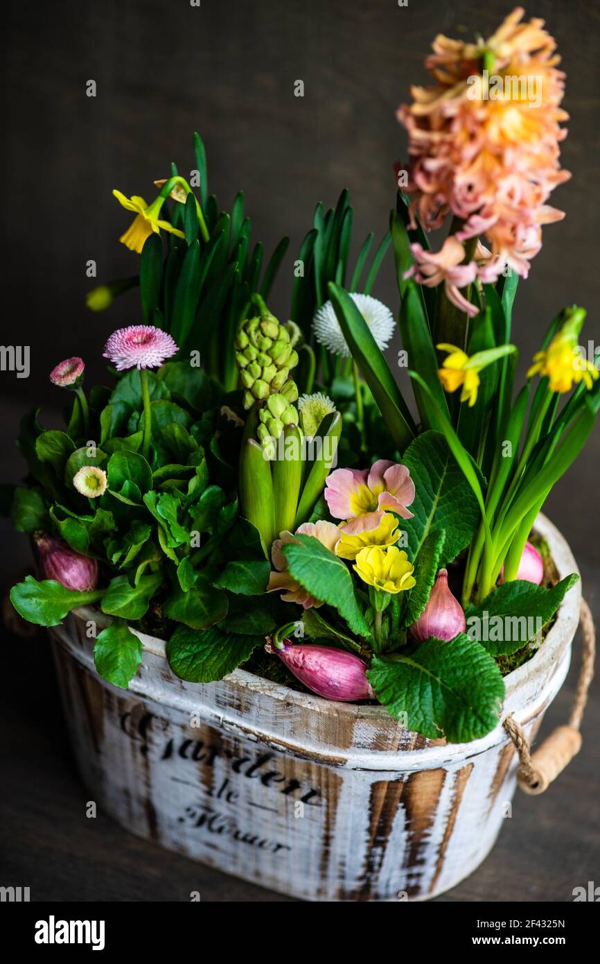 Spring floral interior composition with various flowers Stock Photo - Alamy