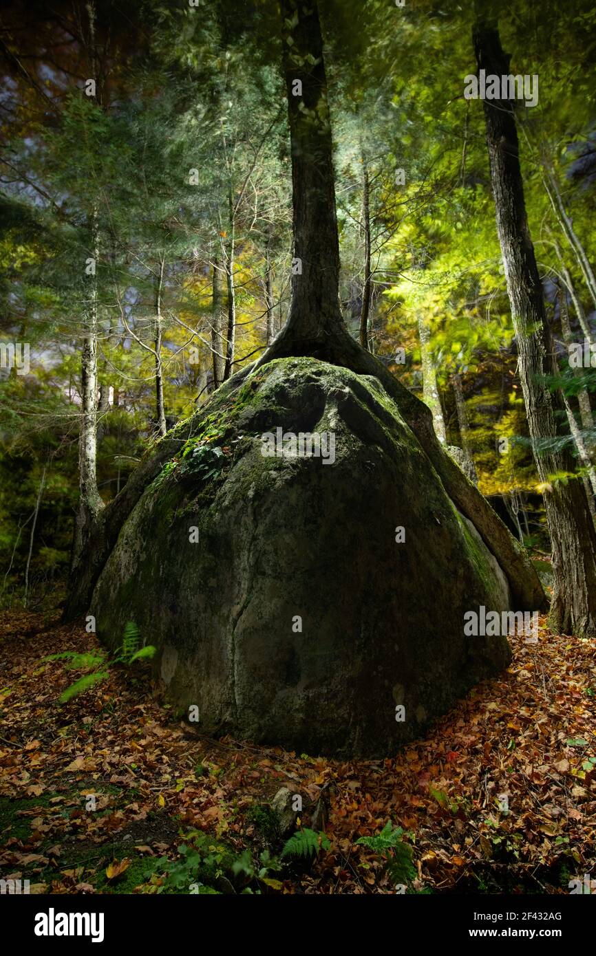 Stark wilderness hi-res stock photography and images - Alamy