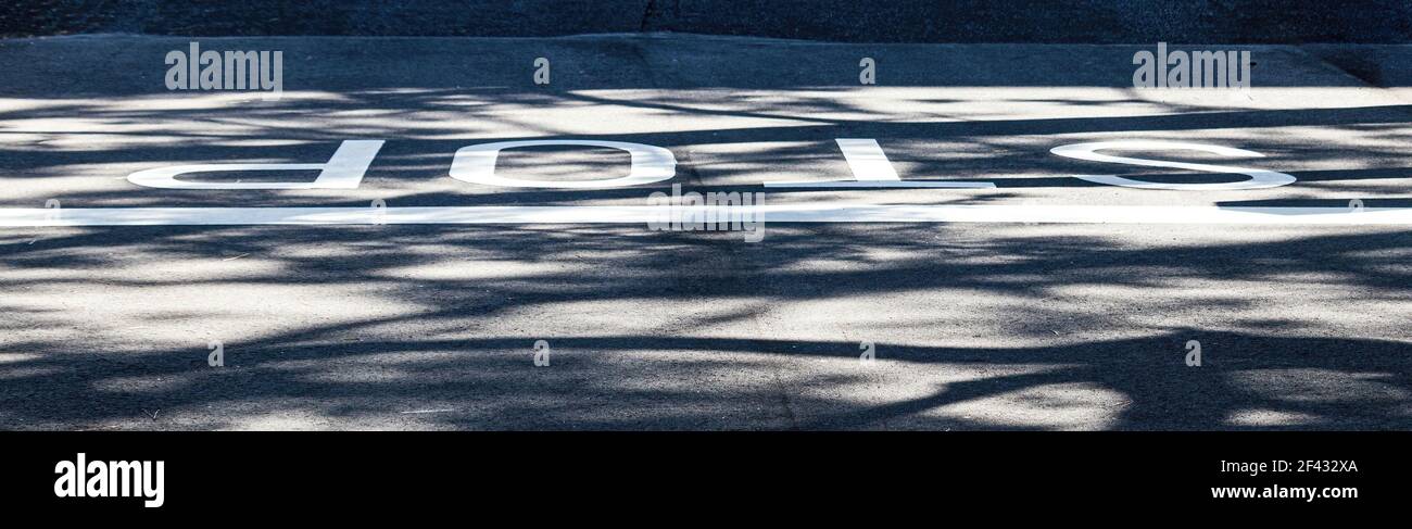 A stop sign on the road is hardly visible, because of the shadows of ...