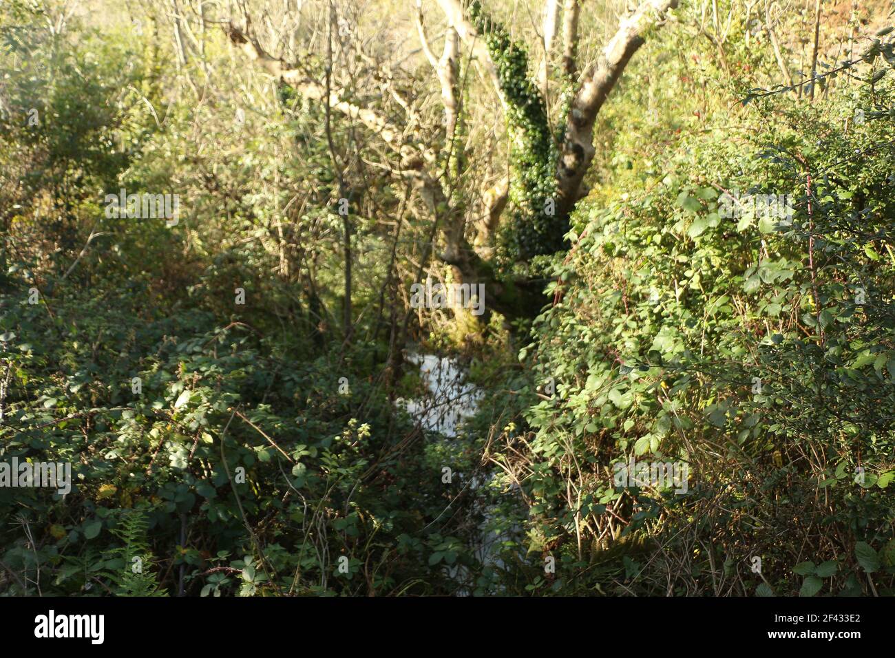 Floodwater running out of the hillside as waterfalls following heavy ...