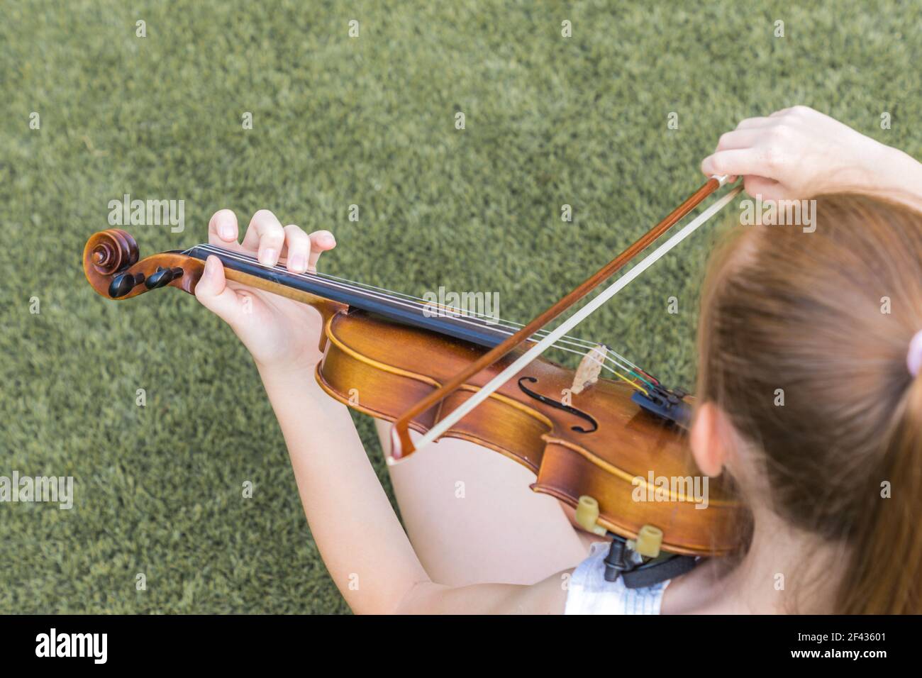 girl playing the violin from behind sitting on the defocused green ...