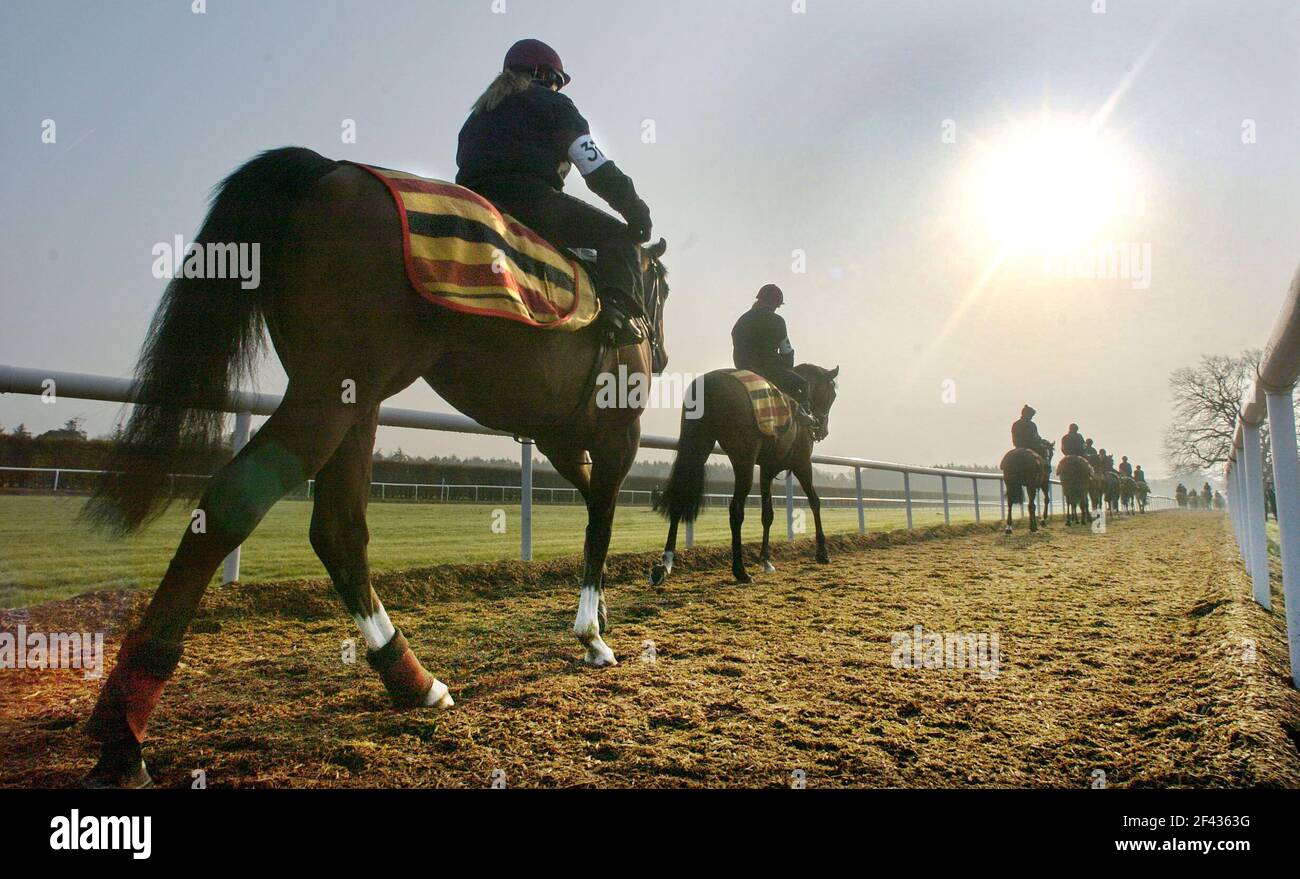 Ballydoyle hi-res stock photography and images - Alamy