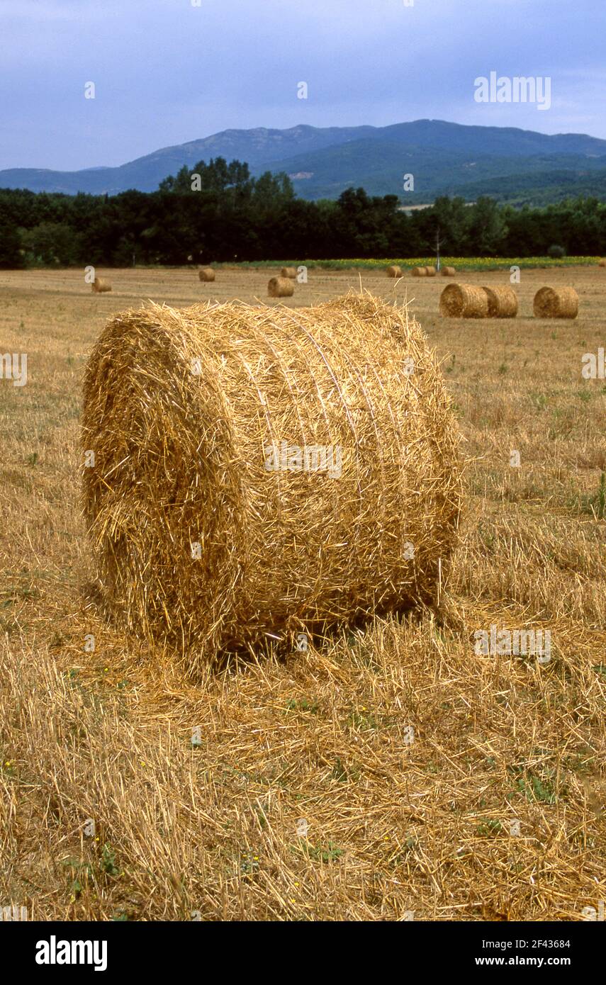 Tuscan countryside farm hi-res stock photography and images - Alamy