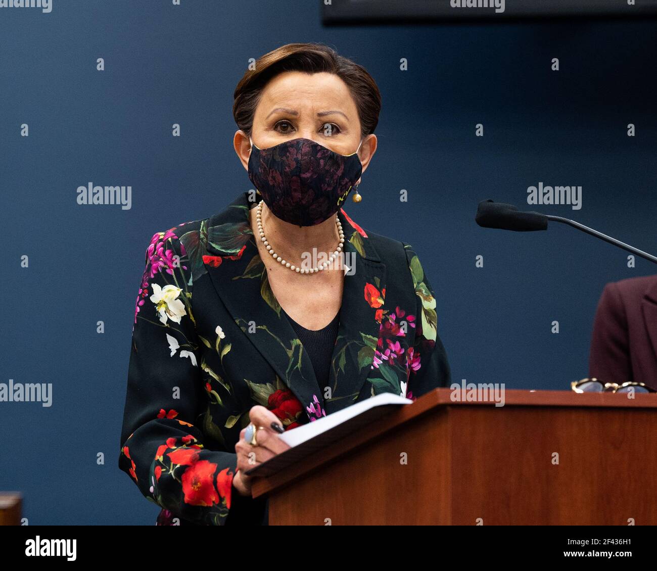 U.S. Representative Nydia Velazquez (D-NY) speaks at the introduction ...