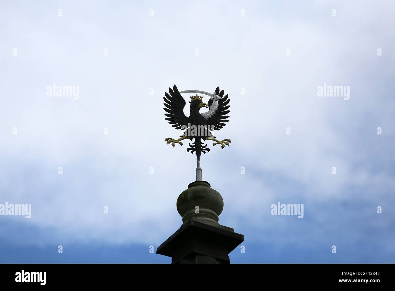 Old eagle hi-res stock photography and images - Alamy