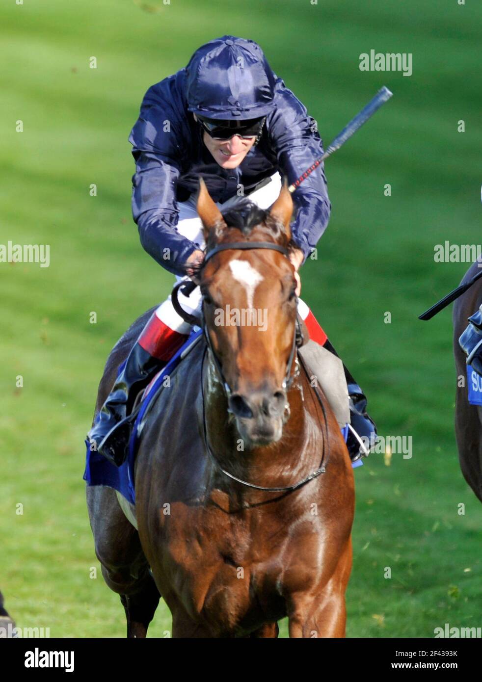 Queen elizabeth 11 High Resolution Stock Photography and Images - Alamy