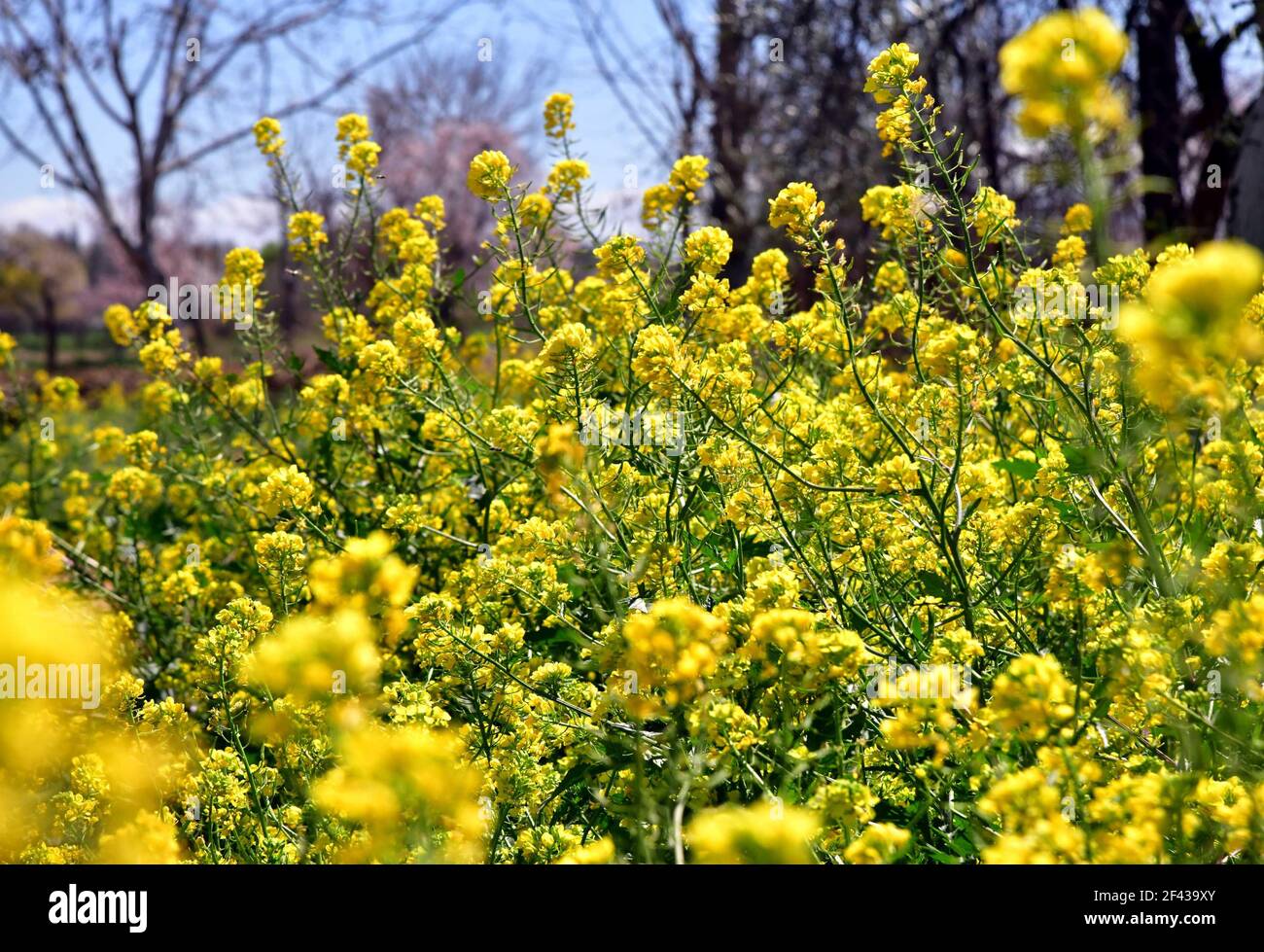 18 mar 2021 hi-res stock photography and images - Alamy