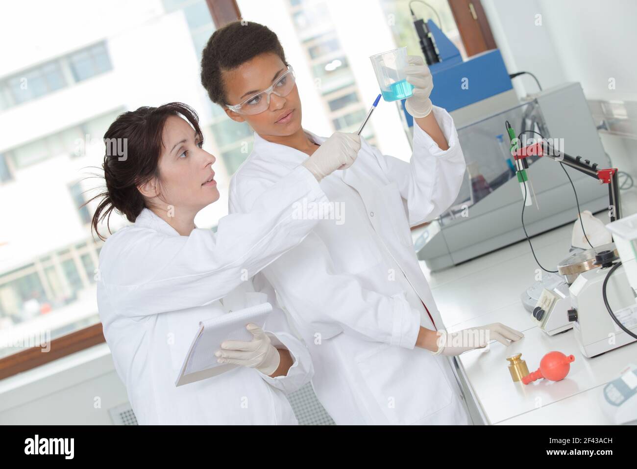 portrait of women in the lab Stock Photo - Alamy