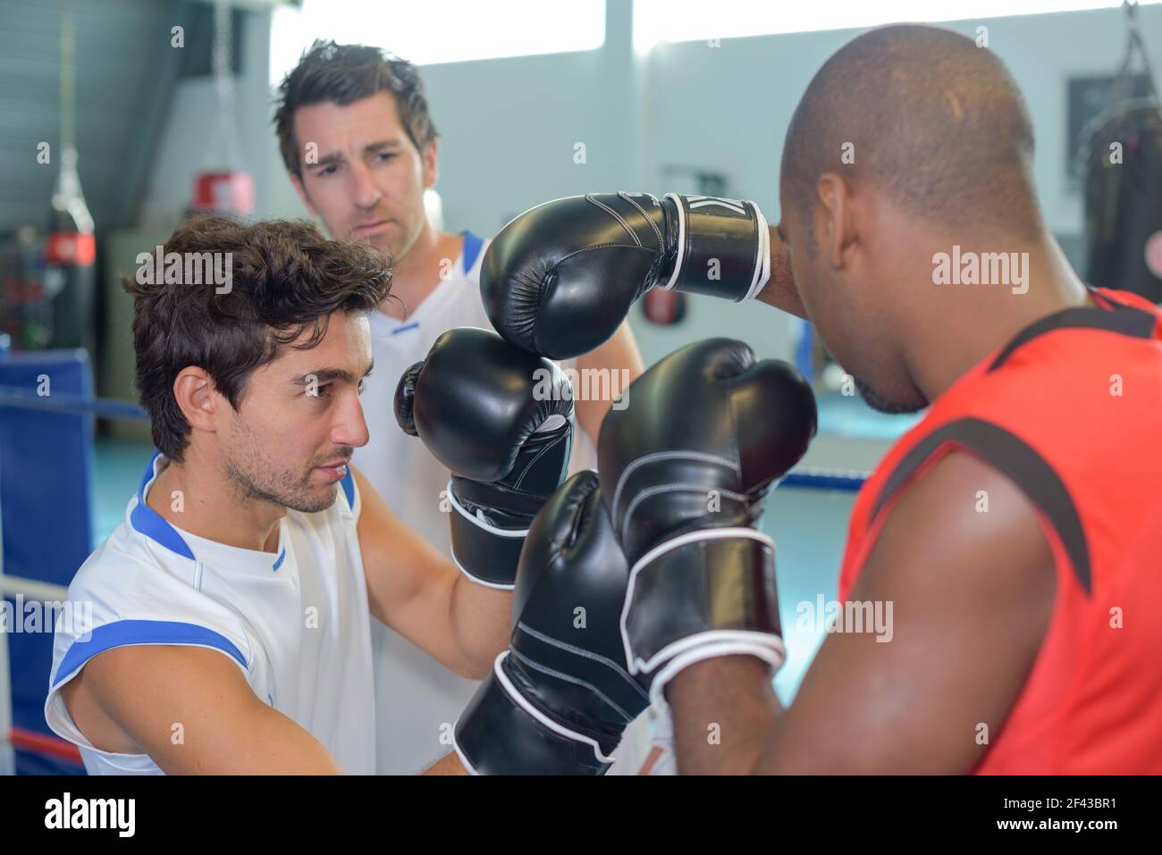 young men in boxing class Stock Photo - Alamy