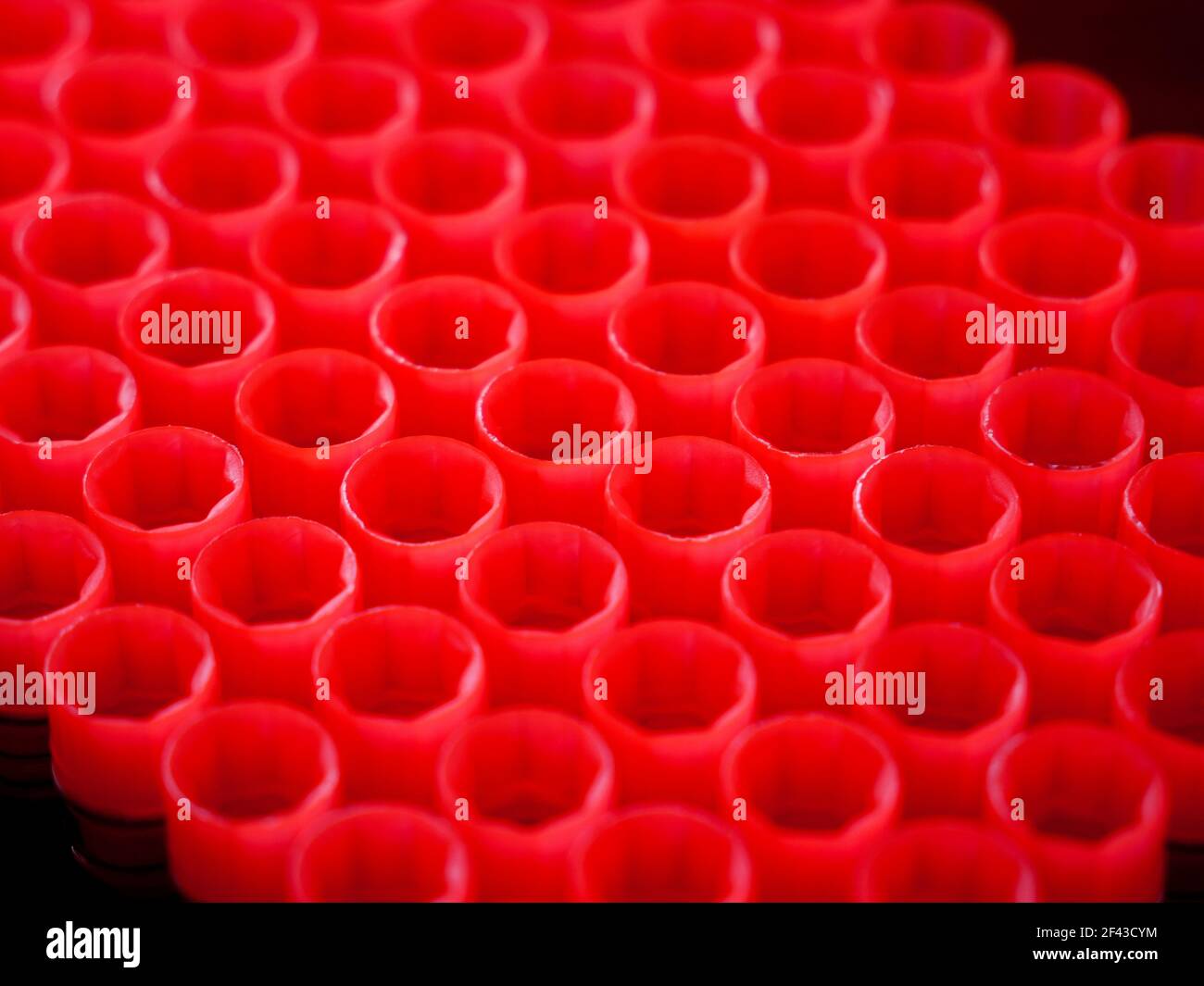 Racked 2D barcoded sample tubes, view of caps showing sockets for ...