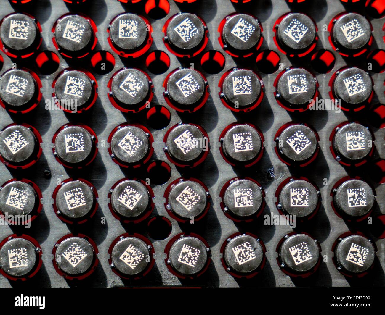 Racked 2D barcoded sample tubes, view of bottom of rack Stock Photo - Alamy