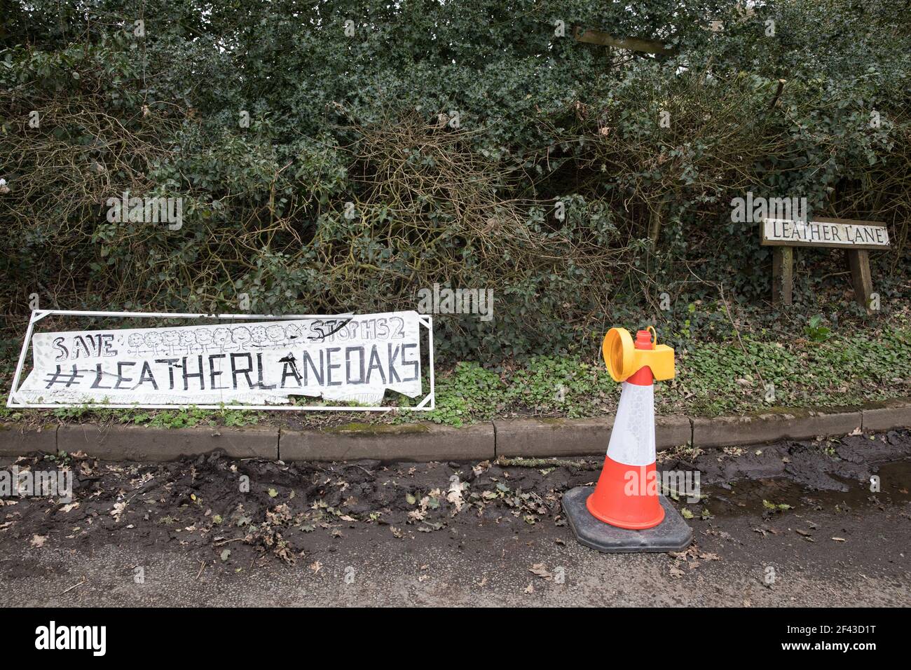 Hundred year old oak tree hi-res stock photography and images - Alamy