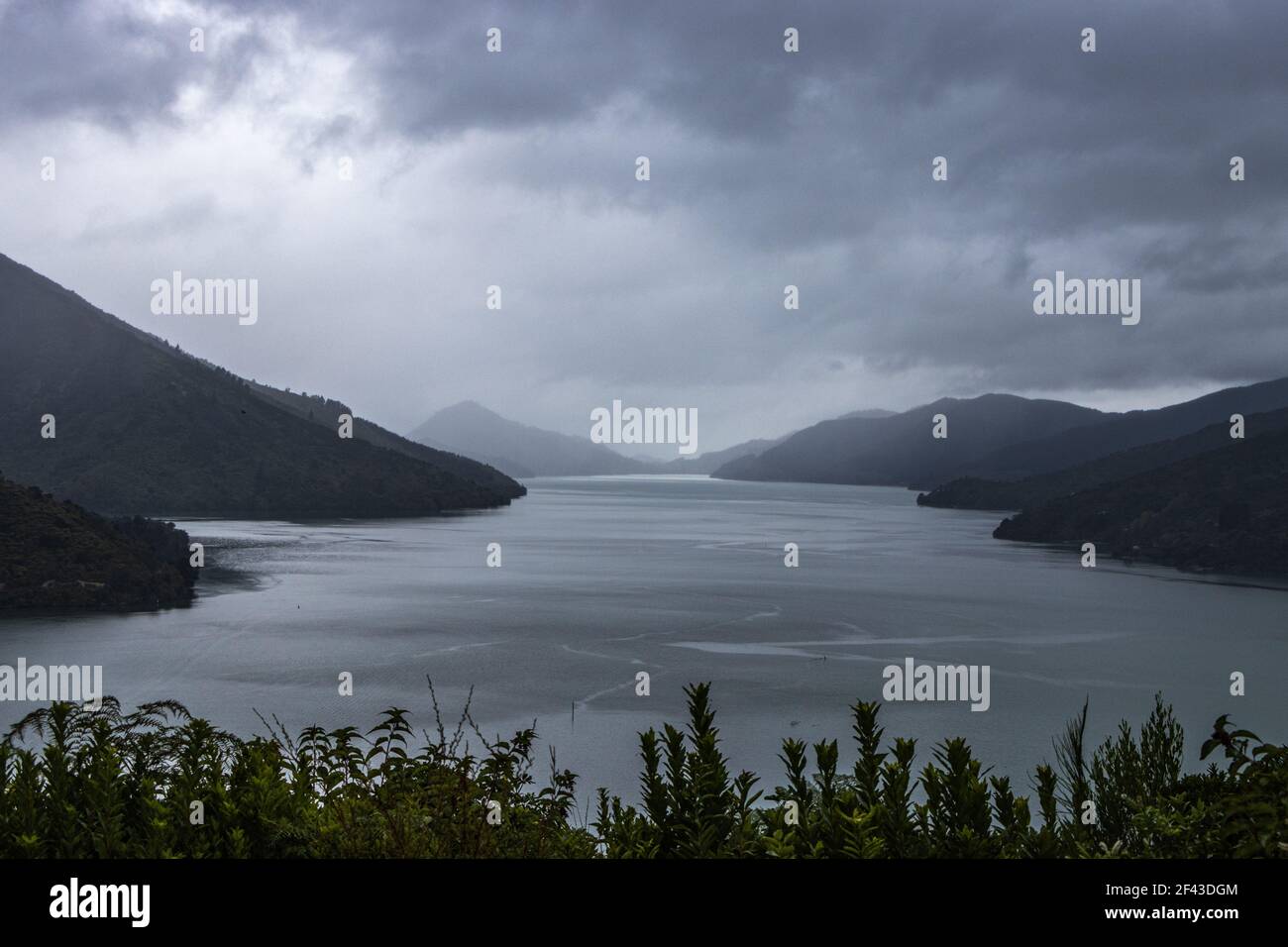 Mahau Sound on a Misty Morning Stock Photo - Alamy