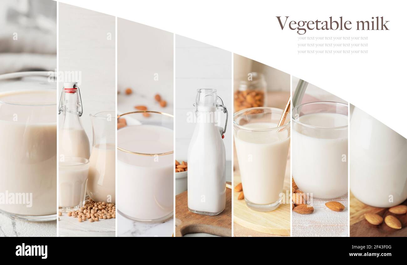 Collage of different vegan milks with space for text Stock Photo - Alamy