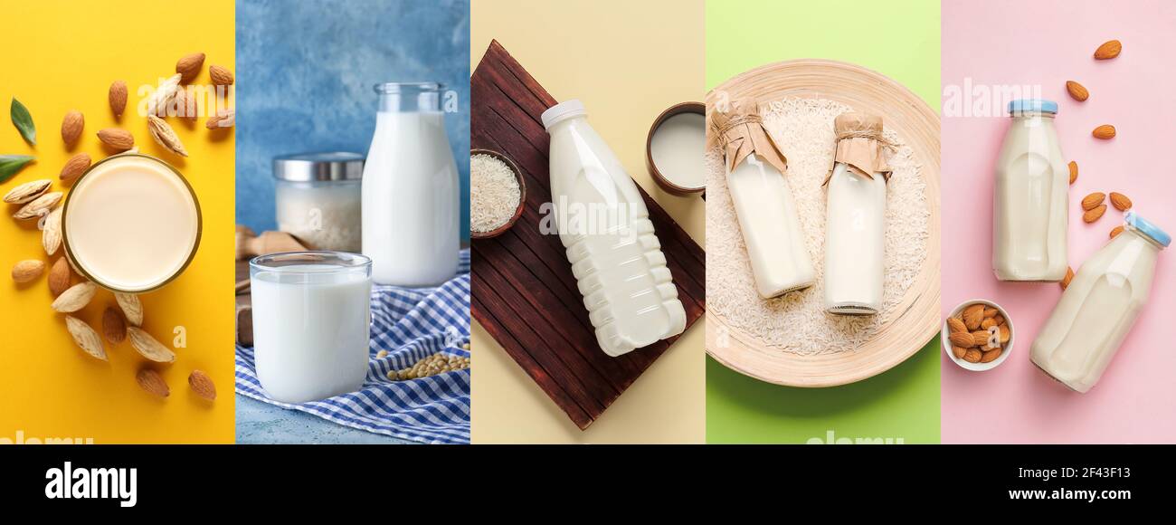 Collage of different vegan milks Stock Photo - Alamy