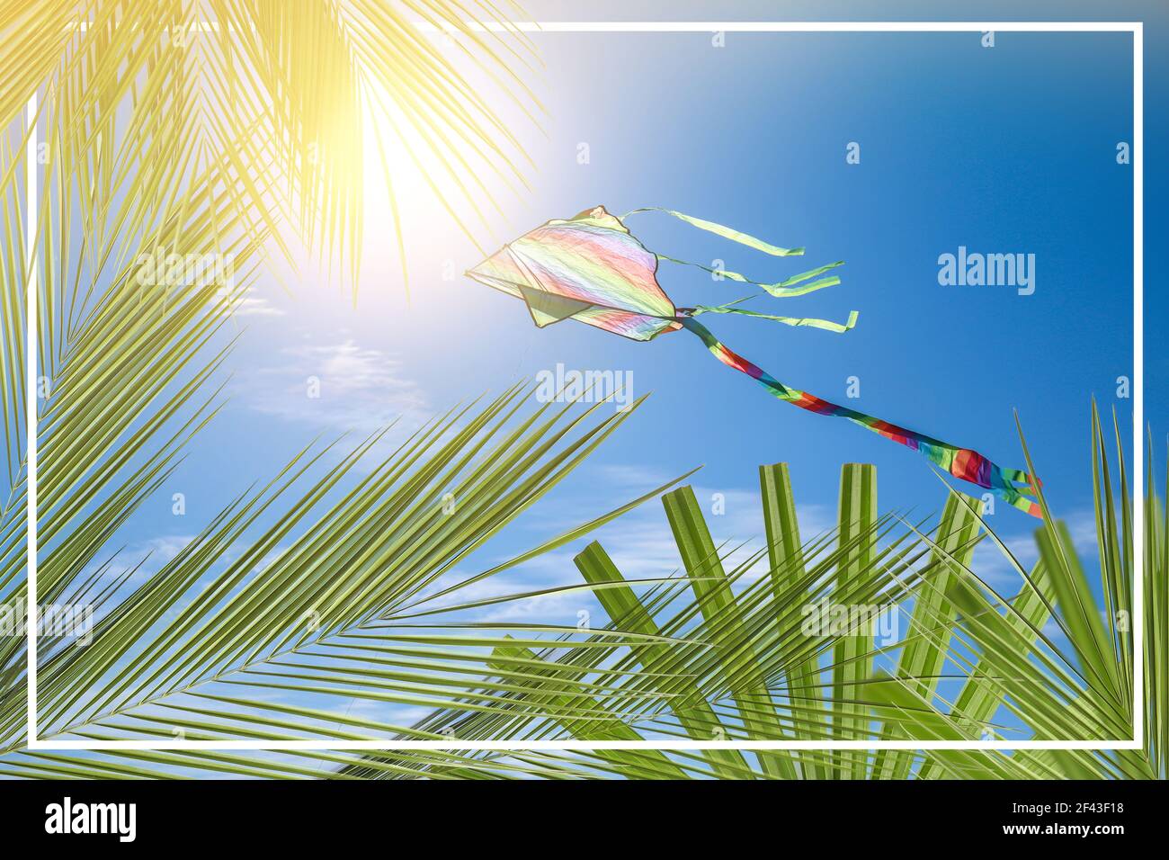 Colorful kite flying in blue sky at tropical resort Stock Photo - Alamy