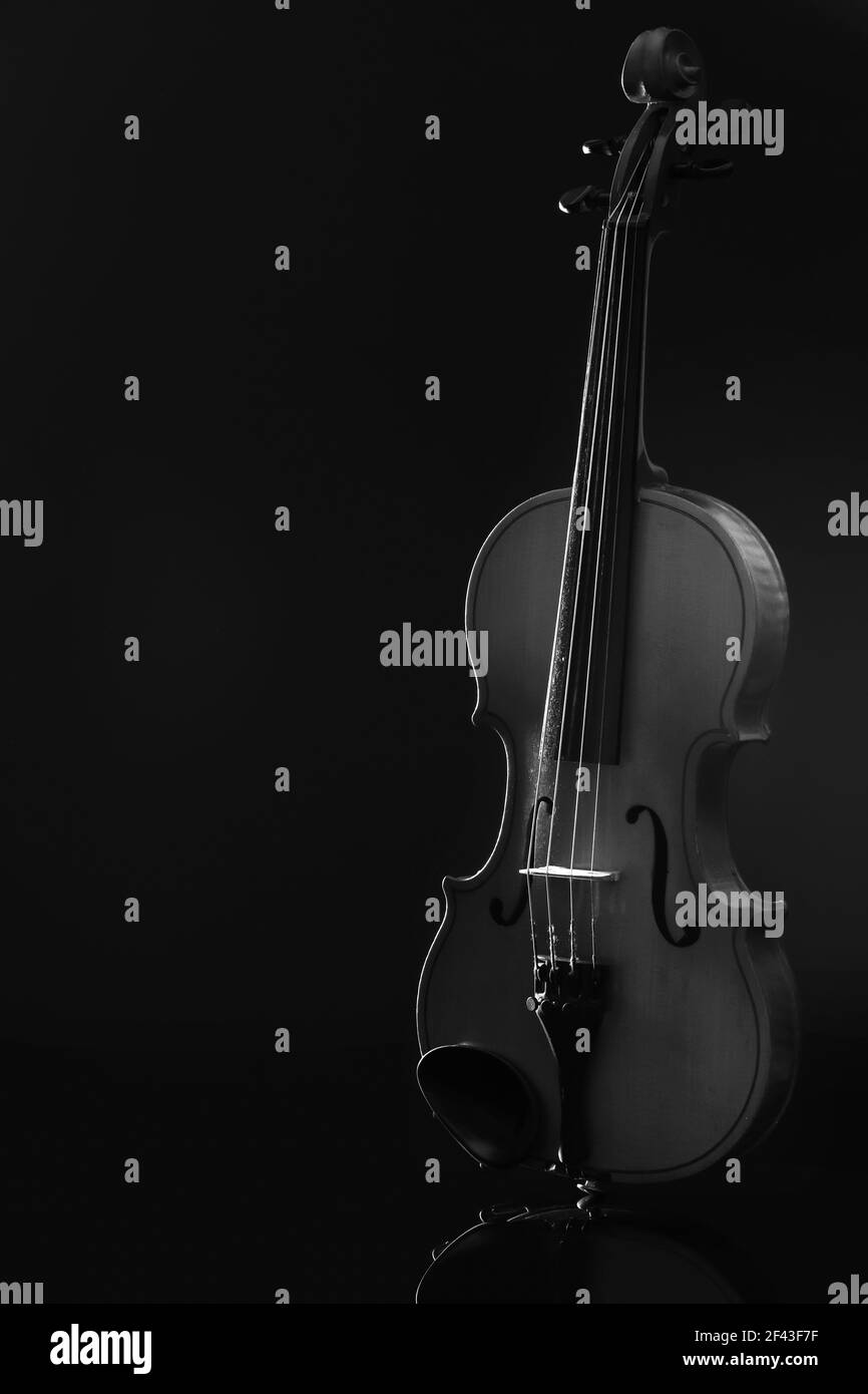 Stylish violin on dark background Stock Photo - Alamy