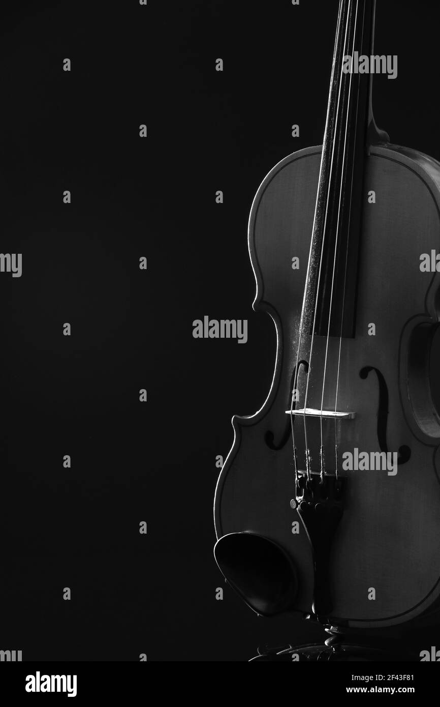 Black Violin Hd Wallpaper