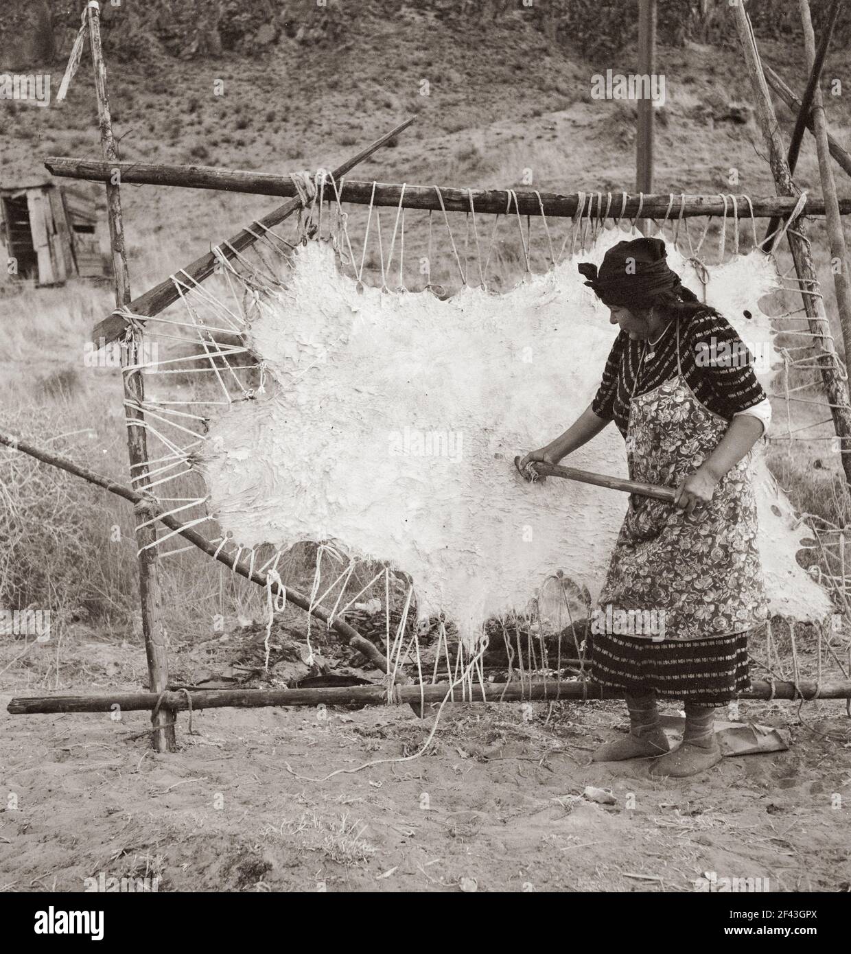 Method of scraping hide for softening. Indian fishing village. Oregon ...
