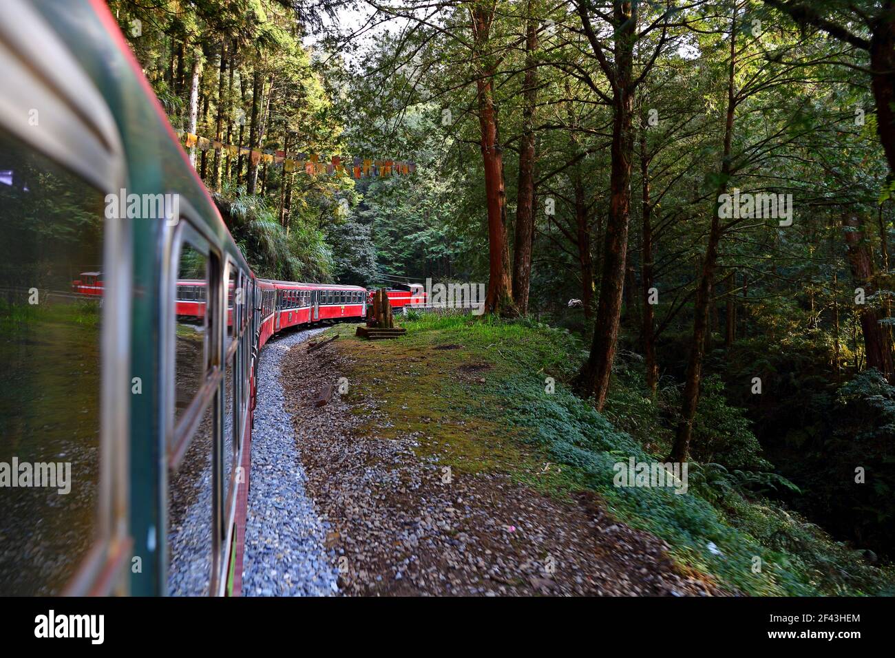 Forest train on railway in Alishan National Forest Recreation Area ...