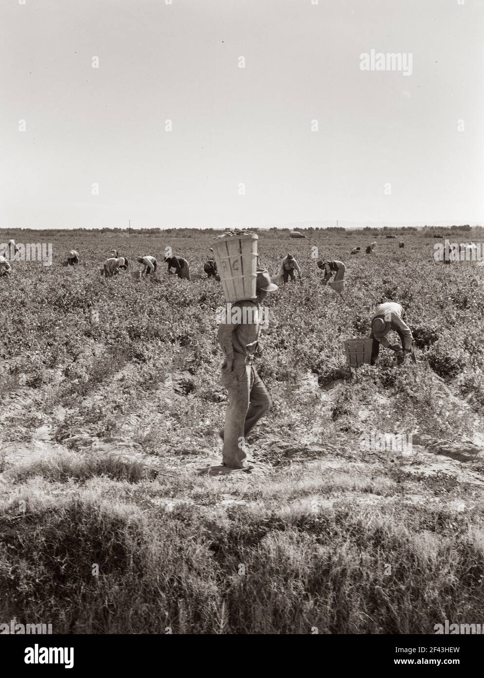Poor agricultural workers hi-res stock photography and images - Alamy
