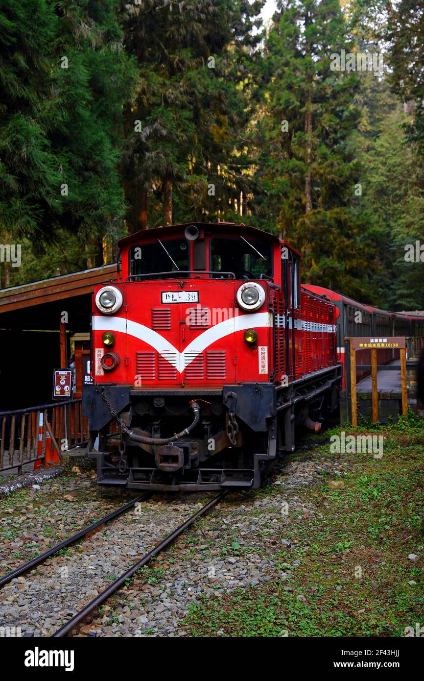Forest train on railway in Alishan National Forest Recreation Area ...