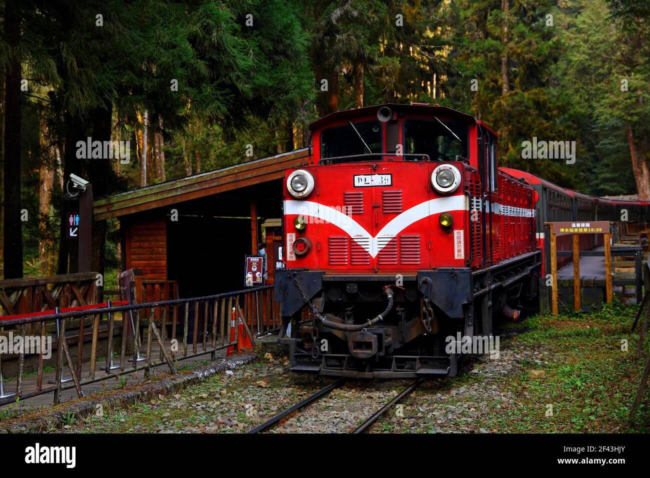 Forest train on railway in Alishan National Forest Recreation Area ...