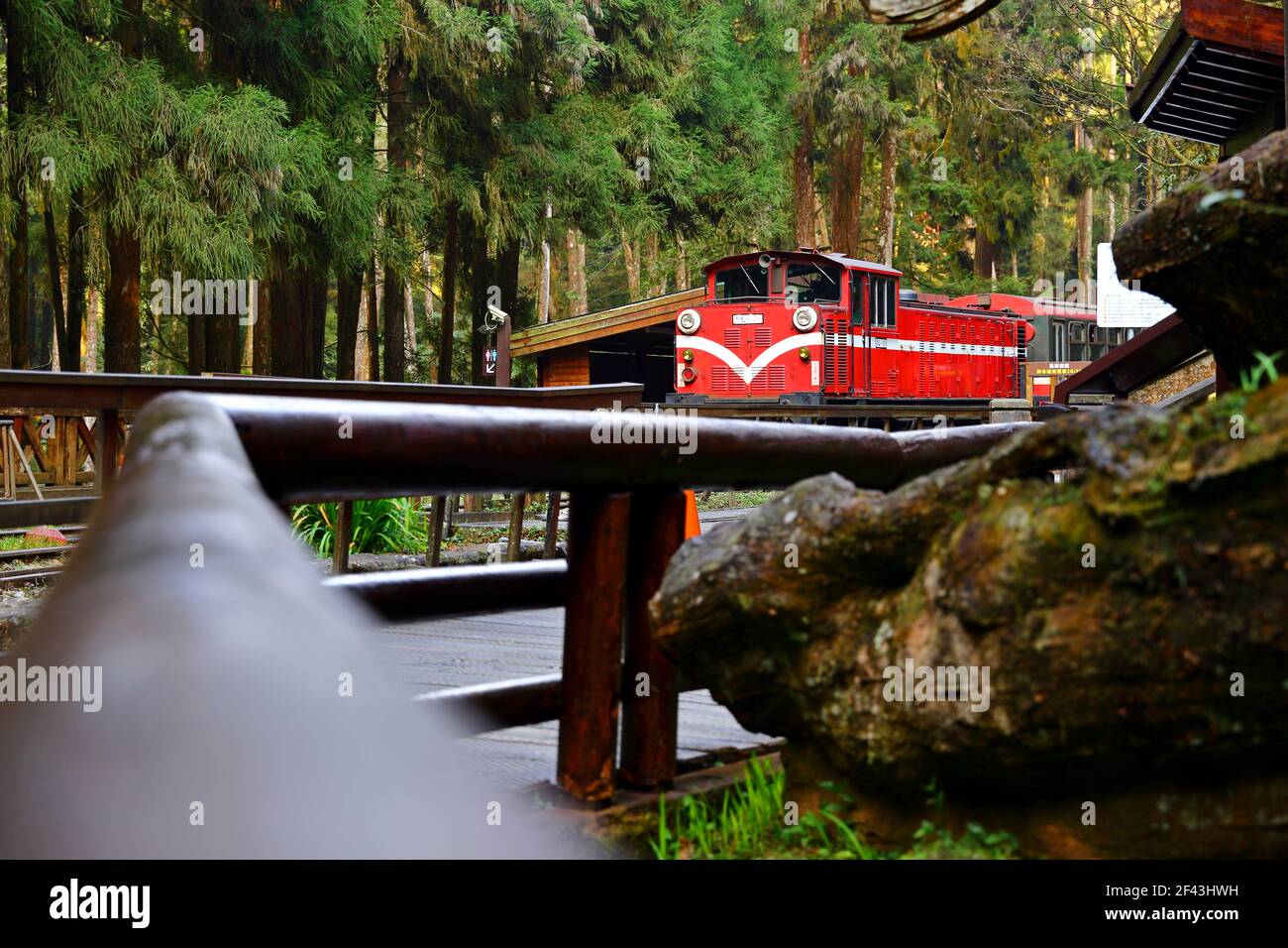Forest train on railway in Alishan National Forest Recreation Area ...