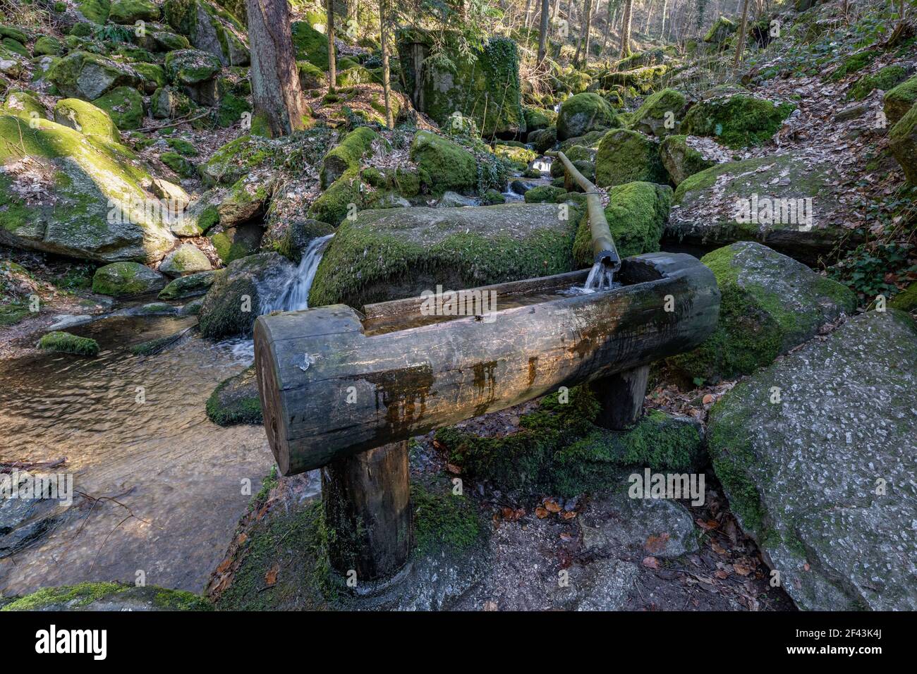 A tube with water source through big rocks in the forest Stock Photo ...